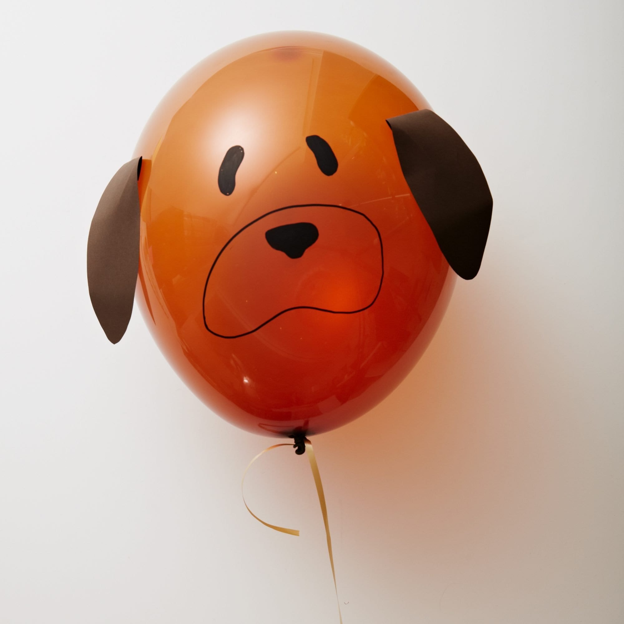 Party Pup Balloons | Darcy Miller Designs