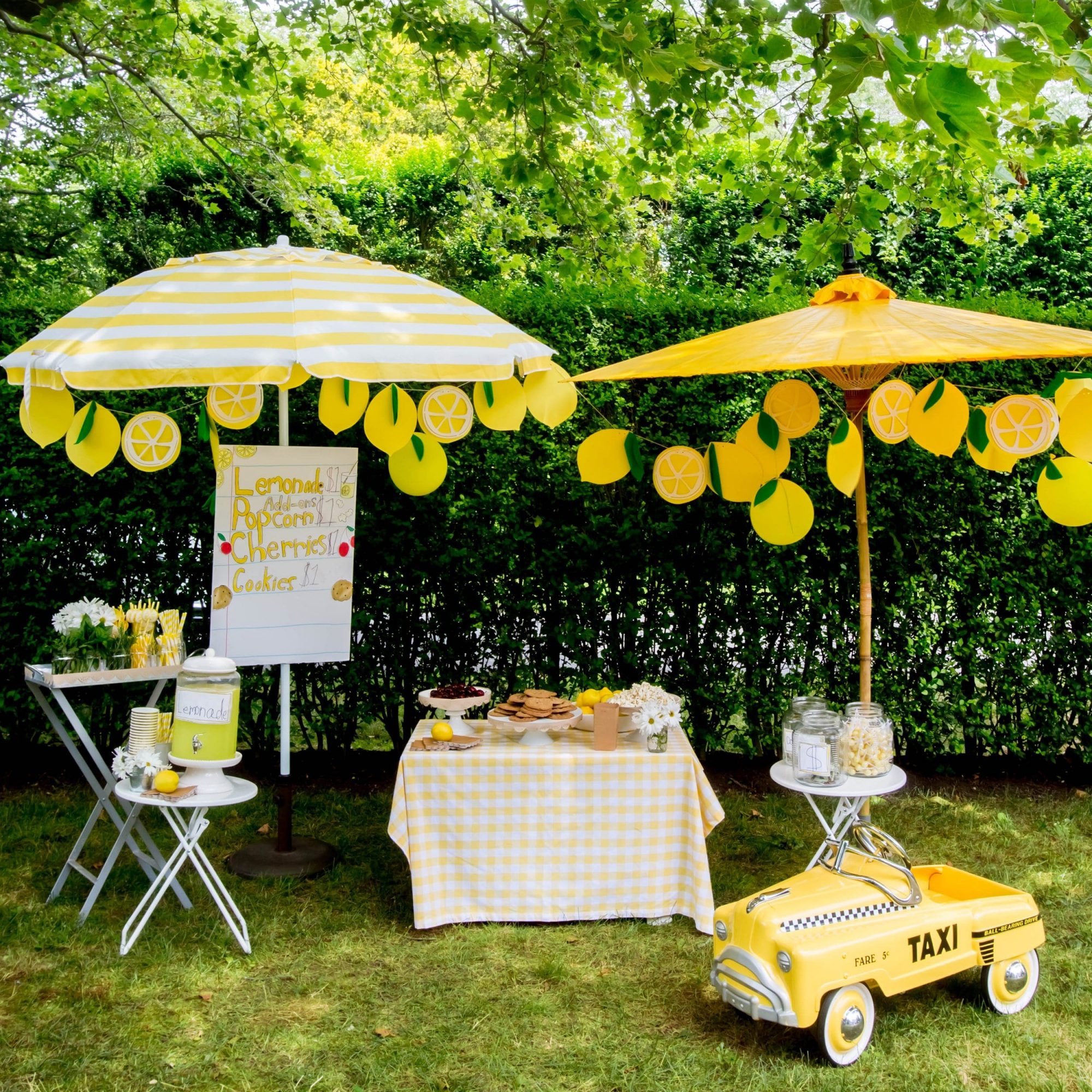 Lovely Lemonade Stand | Darcy Miller Designs