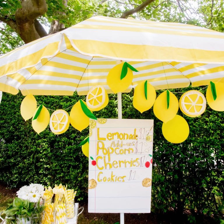 Lovely Lemonade Stand | Darcy Miller Designs