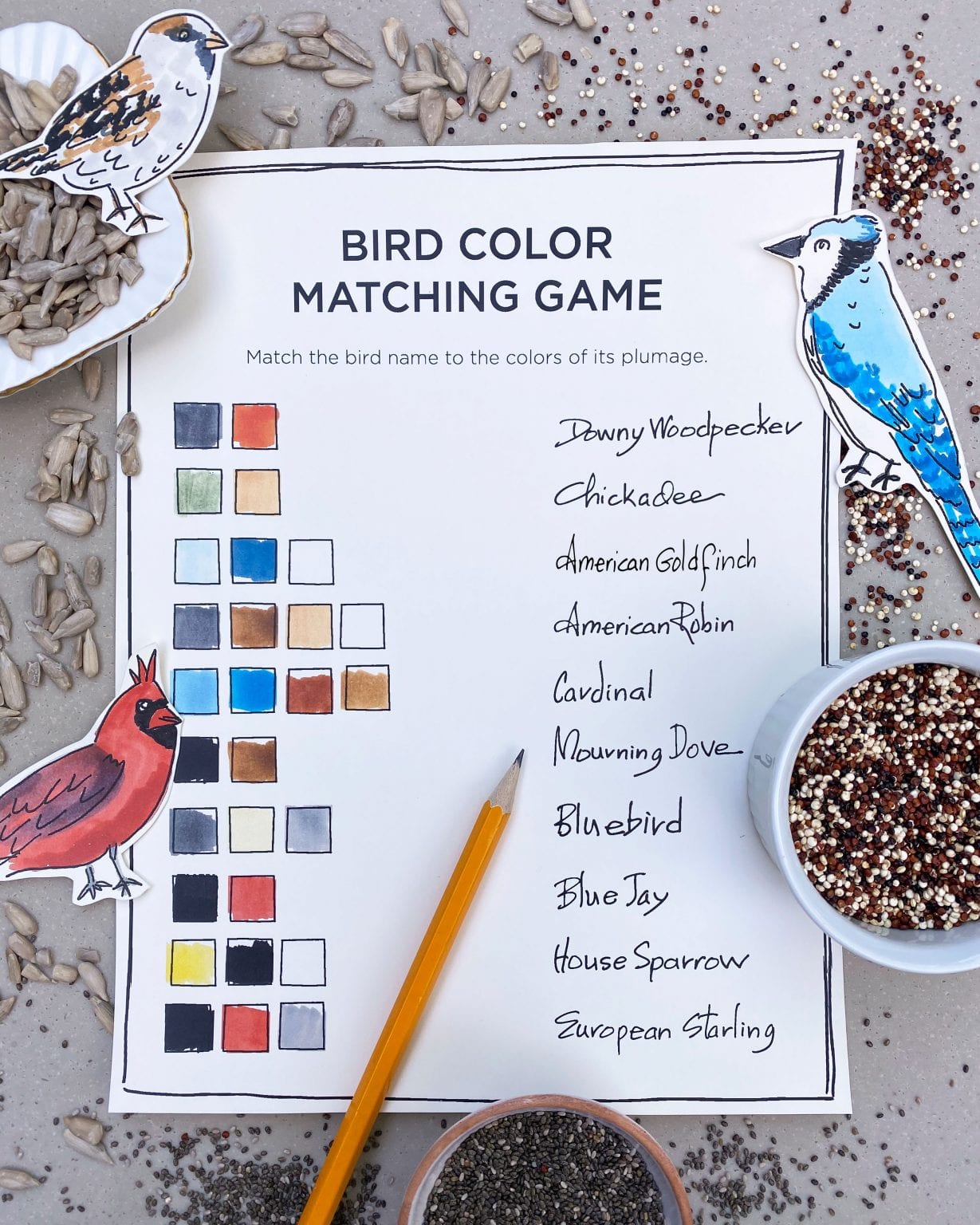Camp Darcy: Bird Crafts and Games | Darcy Miller Designs