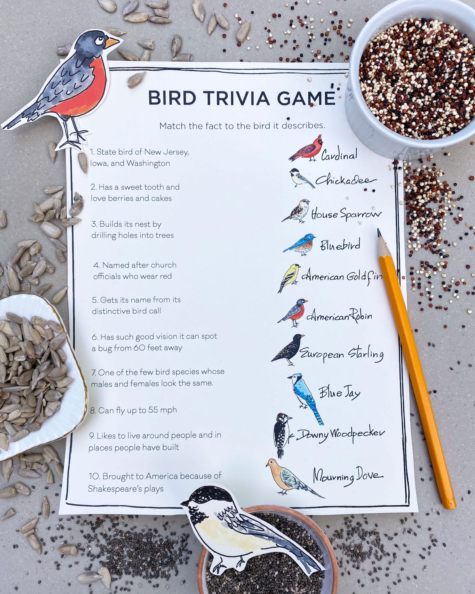 Bird Trivia Games | Camp Darcy | Darcy Miller Designs