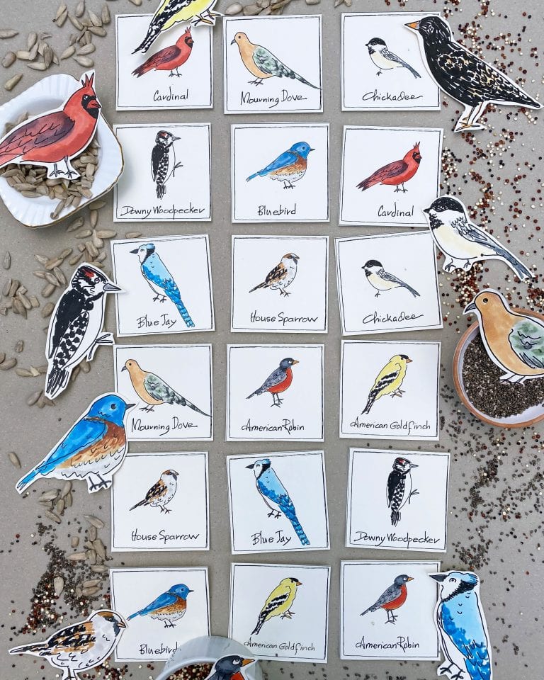 Bird Trivia Games | Camp Darcy | Darcy Miller Designs
